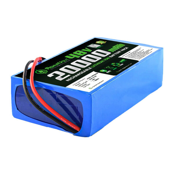 AshvaVolt® 48V 20Ah Lithium-Ion Rechargeable Battery Pack For Electric ...