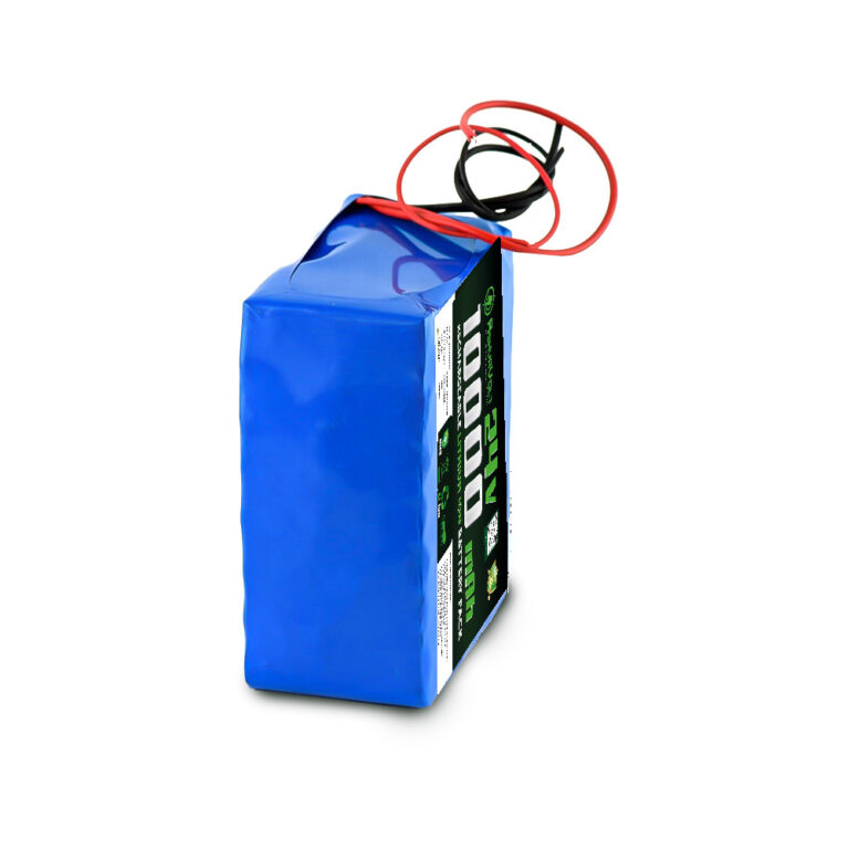 AshvaVolt® 24V 10Ah Lithium-Ion Rechargeable Battery Pack For Electric ...
