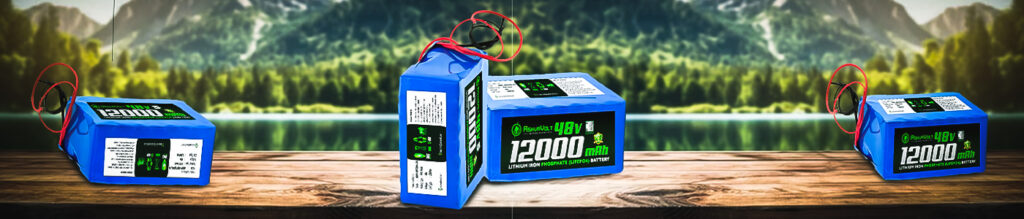 AshvaVolt® 48V 12Ah 576W Lithium Iron Phosphate Battery Pack with BMS ...