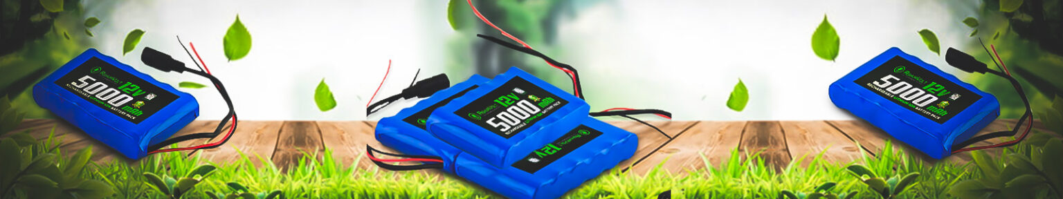 AshvaVolt® 12V 5Ah Lithium-Ion Rechargeable Battery Pack For Electric ...