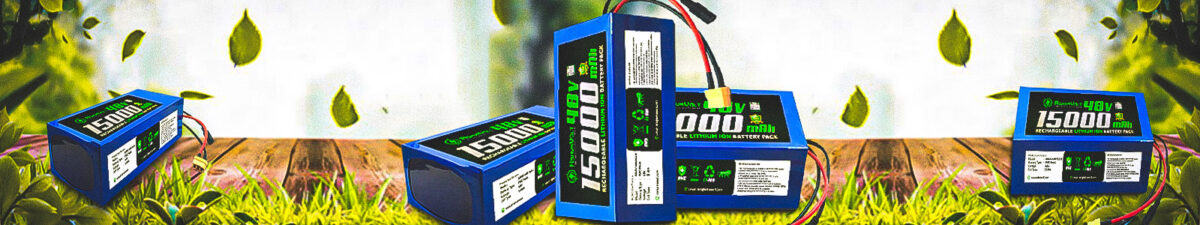AshvaVolt® 48V 15Ah Lithium-Ion Rechargeable Battery Pack For Electric ...