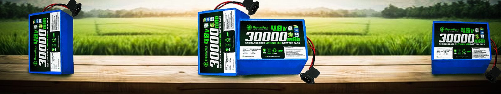 AshvaVolt® 48V 30Ah Lithium Ion Rechargeable Battery Pack for Solar ...